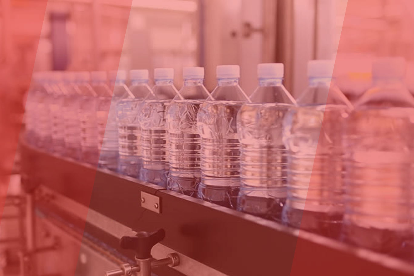 Actualidad ACOBO: Resultados semestrales de FIFCO - ACOBO